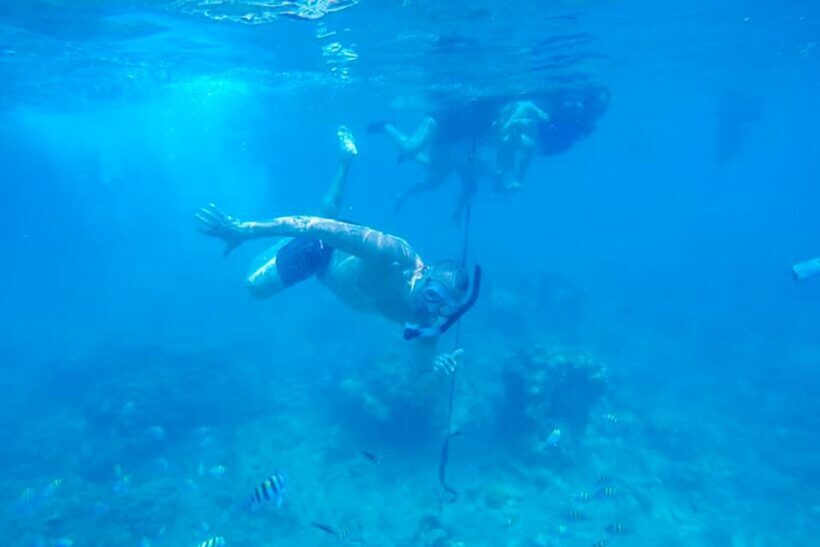 Cartagena: Snorkel, Mangroves and Playa Blanca Tour - Who Is This Tour Best For?