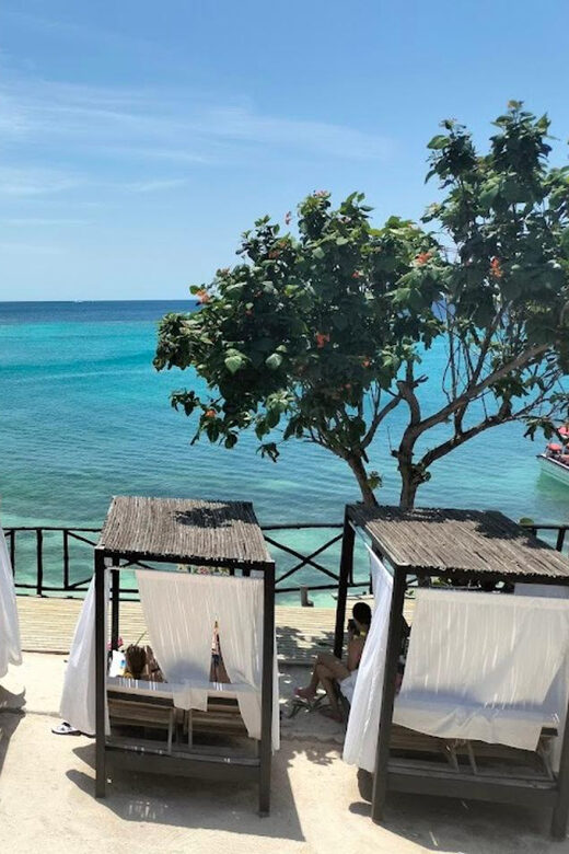 Cartagena: Sol y Papaya Beachclub - Daytour in Isla Grande! - An Introduction to the Sol y Papaya Daytour