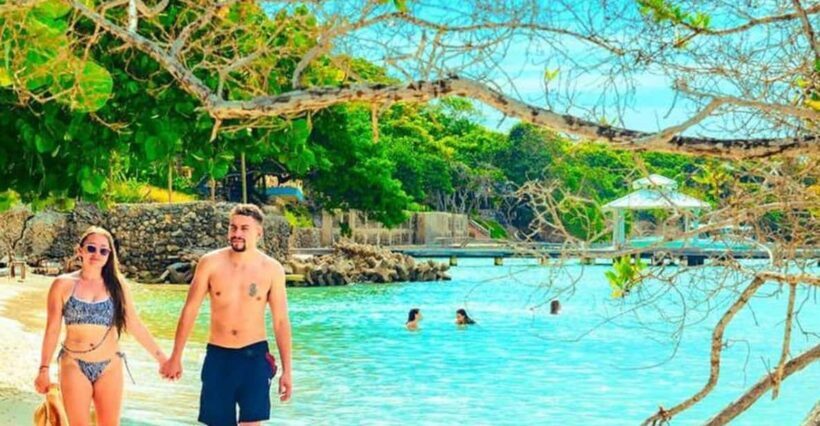 Cartagena: Sol y Papaya Beachclub - Daytour in Isla Grande! - The Experience: Pros and Cons