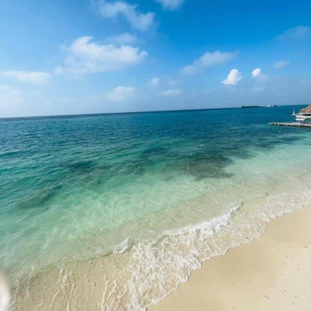 Cartagena: Sol y Papaya Beachclub - Daytour in Isla Grande! - FAQ