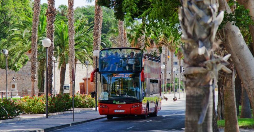 Cartagena, Spain: Panoramic Double-Decker Bus Tour - A Deep Dive into the Cartagena Double-Decker Experience