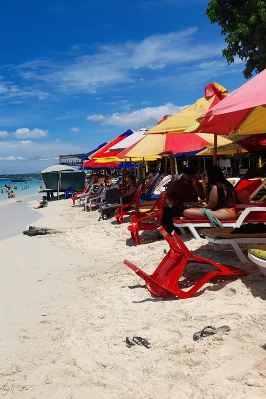 Cartagena: Tour tradicional Playa blanca barú por bus - The Sum Up