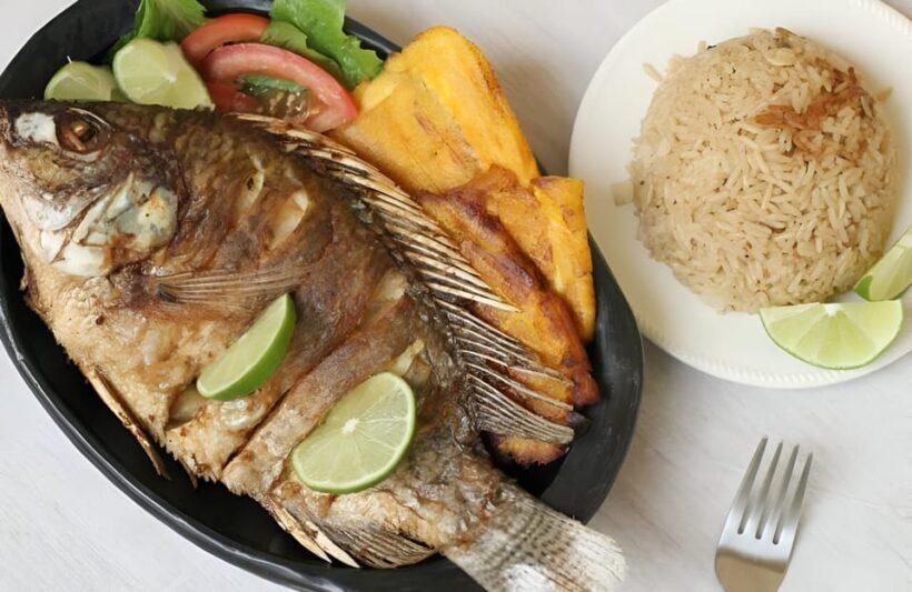 Cartagena: Tour with tour guide to San Basilio de Palenque - Overall Value