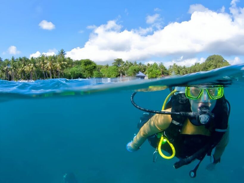 Cartagena: VIP Tour to Playa Tranquila with Snorkel and Lunch - Introduction