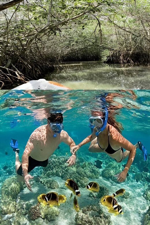 Cartagena: Visit 4 islands in a speedboat + plankton! - The Sum Up