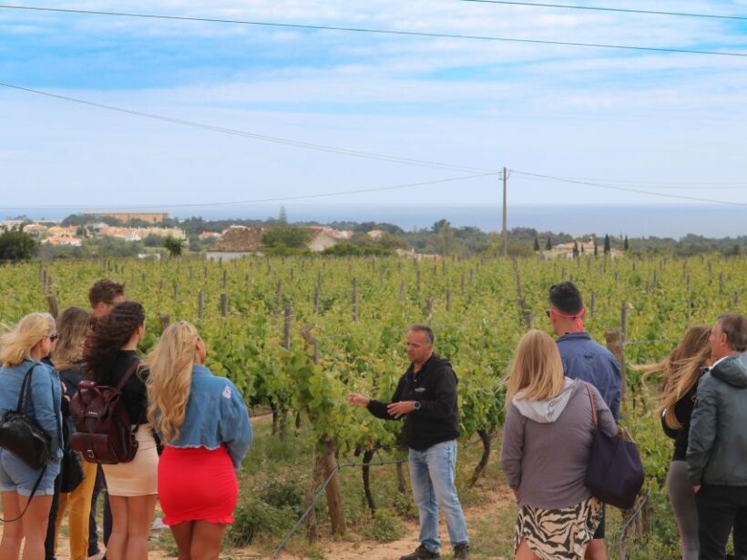 Carvoeiro/Portimão/Alvor: Wine Tour w/ Tasting, Tapas, Music - In-Depth Review of the Algarve Wine Tour Experience