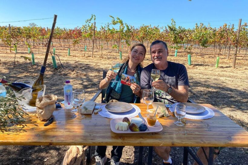 Carvoeiro, Portimão, Lagos: Algarve Romantic Vineyard Picnic - Key Points