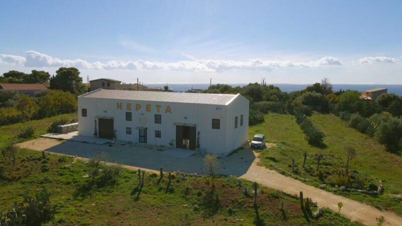 CASA NEPETA: Botanical Walk, Amari Production, and Tasting - Key Points