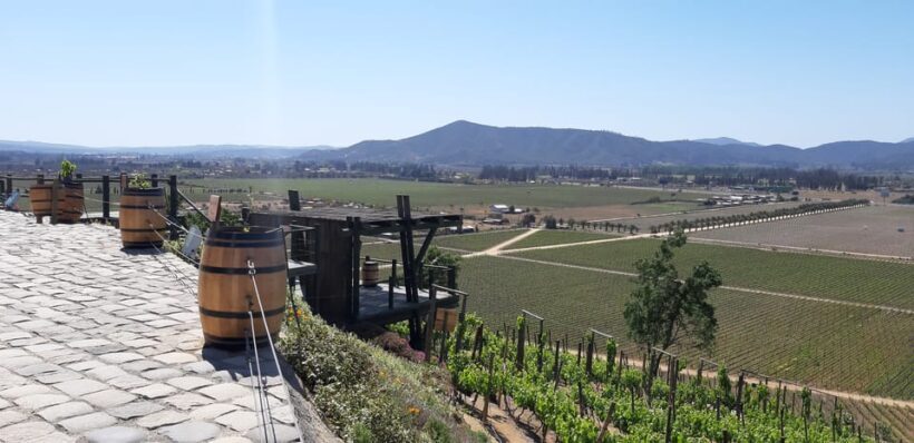 Casablanca Valley: Full-Day Private Wine Tour - Who Will Love This Tour?