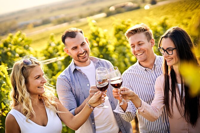 Casablanca World Class Wines, 4 Vineyards & Tanino Lunch Stop - Key Points