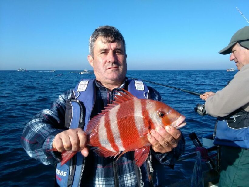 Cascais Deep-Sea Fishing Trip - Who Will Love This Experience?