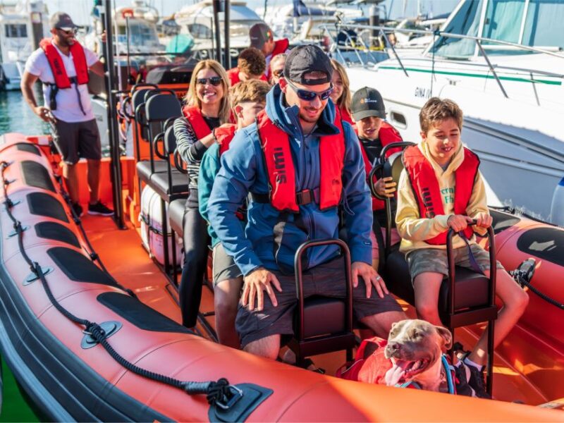 Cascais: Dolphin Watching Tour - Who Would Love This Tour?