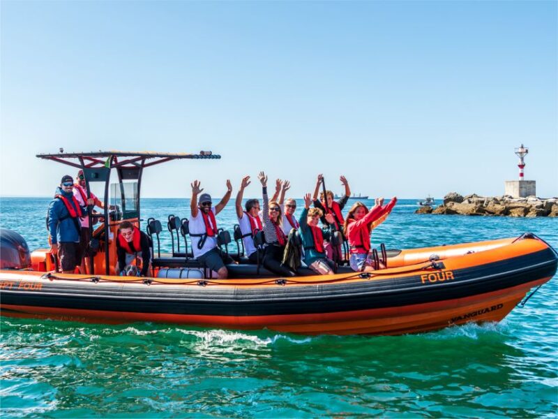 Cascais: Dolphin Watching Tour - FAQs