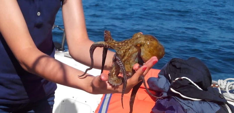 Cascais: Family Fishing - Introduction