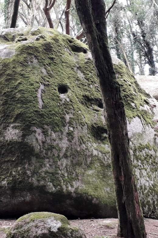 Cascais: Hiking in Sintra-Cascais Natural Park - The Details That Matter