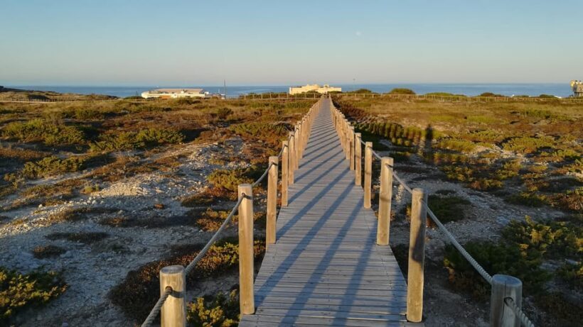 Cascais: Hiking in Sintra-Cascais Natural Park - The Sum Up