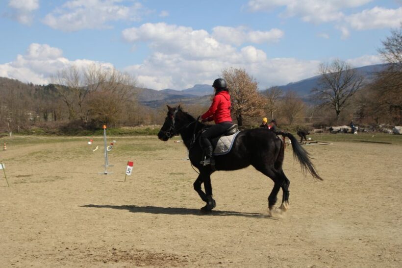 Casentino: Horseback Riding Tour with Verna Sanctuary View - Key Points
