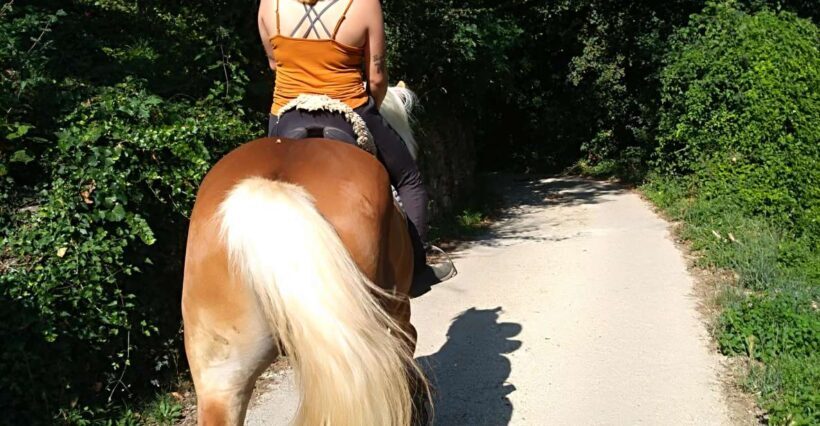 Casentino: Horseback Riding Tour with Verna Sanctuary View - Introduction to the Horseback Riding Experience