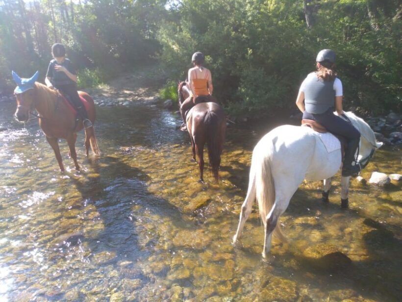 Casentino: Horseback Riding Tour with Verna Sanctuary View - The Itinerary in Detail