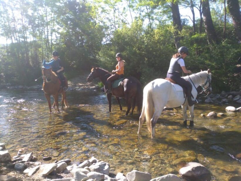 Casentino: Horseback Riding Tour with Verna Sanctuary View - Just a Few Words on the Reviews