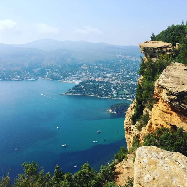 Cassis, Bandol, Le Castellet wine tour: Cliffs and Vineyards - Key Points