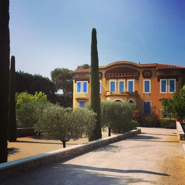 Cassis, Bandol, Le Castellet wine tour: Cliffs and Vineyards - Practical Details and Value