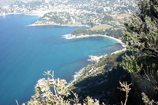 Cassis Half-Day Trip From Aix-En-Provence - Customer Feedback