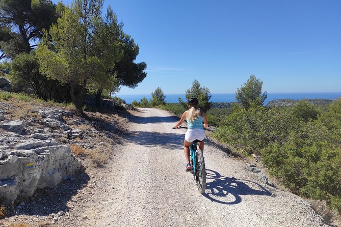 Cassis National Park E-Mountain Bike Experience With Virtual Guide - Customer Reviews and Experiences
