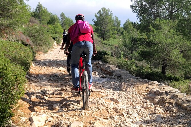 Cassis: Three Calanques Tour by Electric Mountain Bike - Destination Highlights