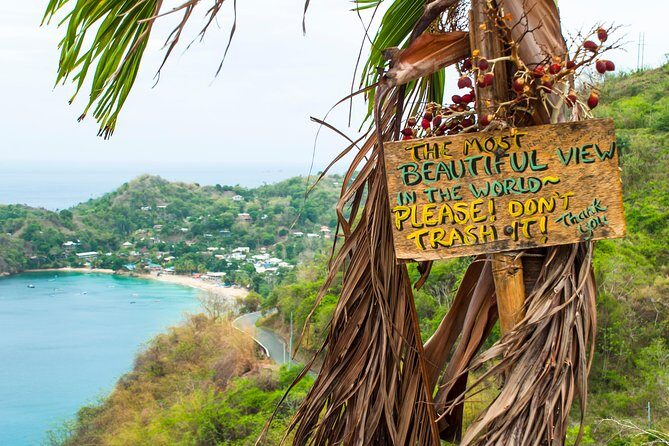 Castara Bay Day Trip with Lunch - The Value Proposition: Is It Worth It?