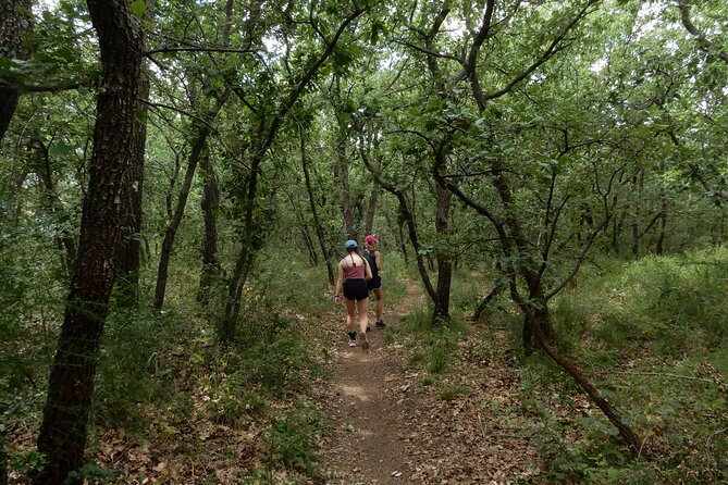 Castel del Monte: excursion in the Alta Murgia National Park - FAQs
