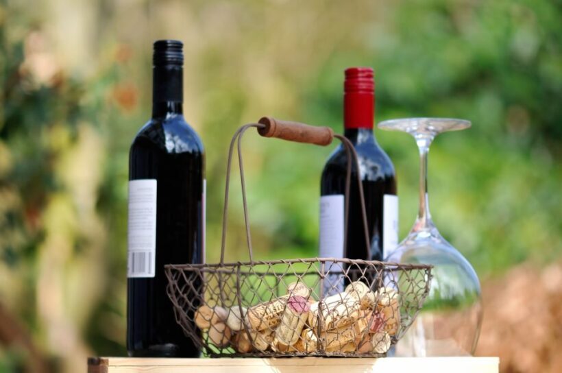 Castelbuono: Wine Tasting Tour in the Madonie Mountains - Practical Details: Timing, Cost, and Group Size