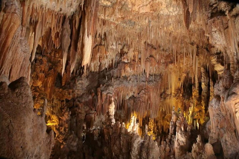 Castellana Caves & Polignano by Boat from Bari and Polignano - Who Should Consider This Tour?