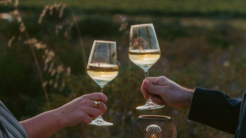 Castelsardo: visit a vineyard with wine tasting at sunset - Comparing Similar Experiences