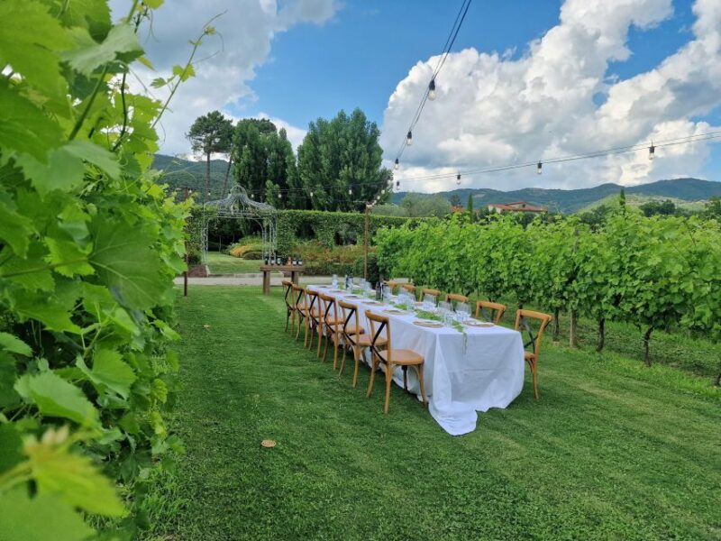 Castiglion Fiorentino: Buccelletti Wine Flight - Key Points