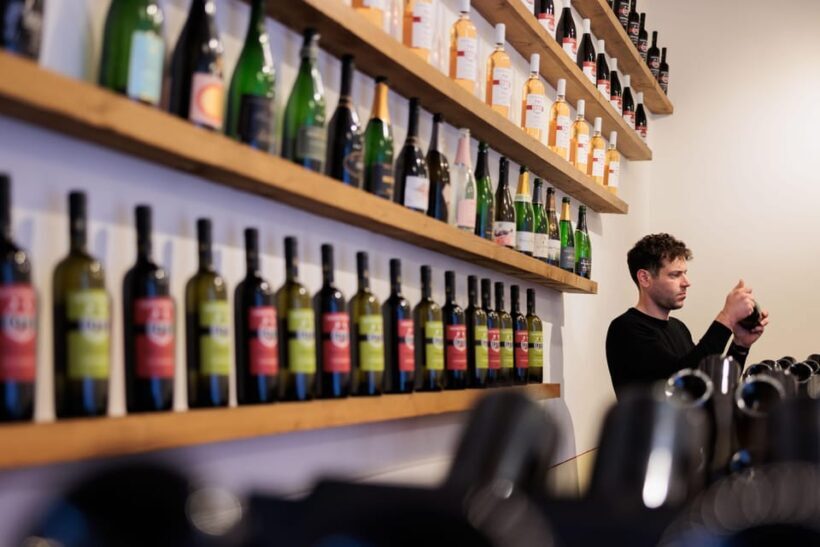 Castiglion Fiorentino: wine tasting with guided tour - A Taste of Tuscany in Castiglion Fiorentino