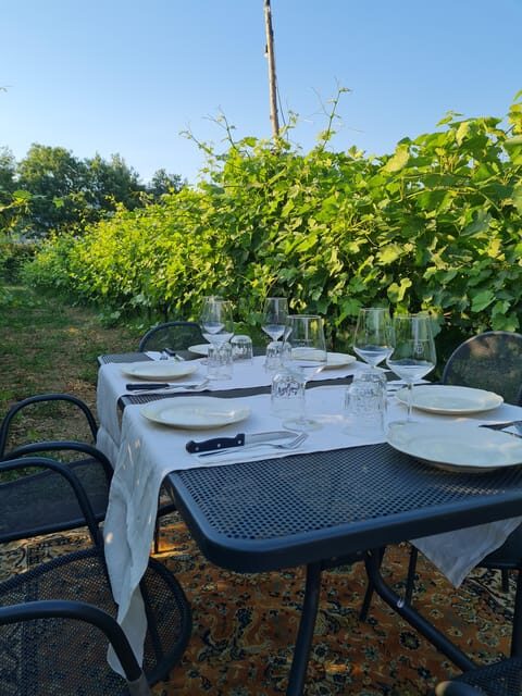 Castiglion Fiorentino: wine tasting with guided tour - The Itinerary: From White to Sweet