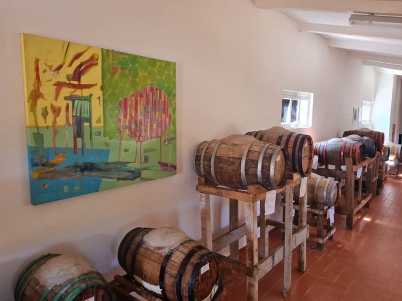 Castiglion Fiorentino: wine tasting with guided tour - Authenticity and Local Focus