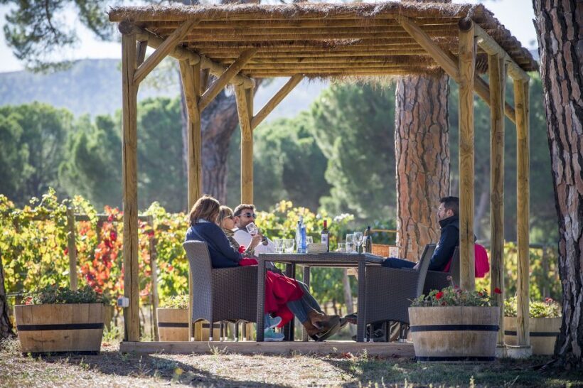 Castille and León: Vineyard Tour with Wine Tasting - An Authentic Look at Finca Villacreces