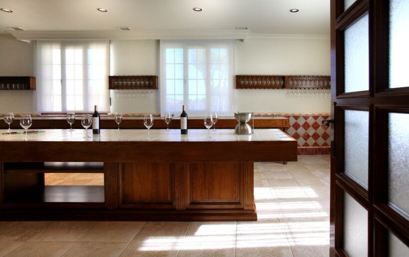 Castille and León: Vineyard Tour with Wine Tasting - The Wines: What You’ll Sample
