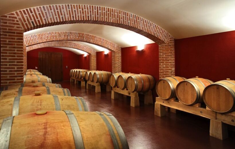 Castille and León: Vineyard Tour with Wine Tasting - Who Will Enjoy This Experience?