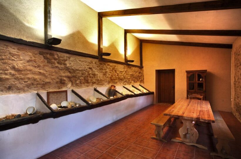 Castille and León: Vineyard Tour with Wine Tasting - Final Thoughts