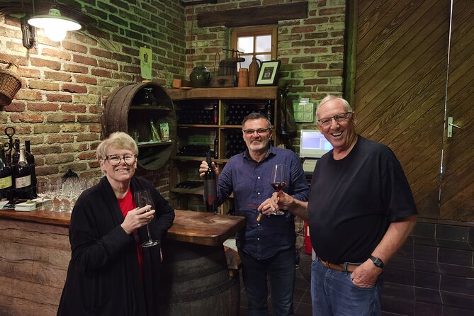 Castle & Wine Tasting - Private Day Trip from Zagreb - Key Points