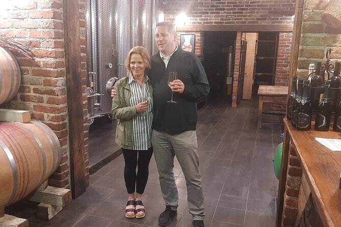 Castle & Wine Tasting - Private Day Trip from Zagreb - Transportation & Logistics: Hassle-Free and Comfortable