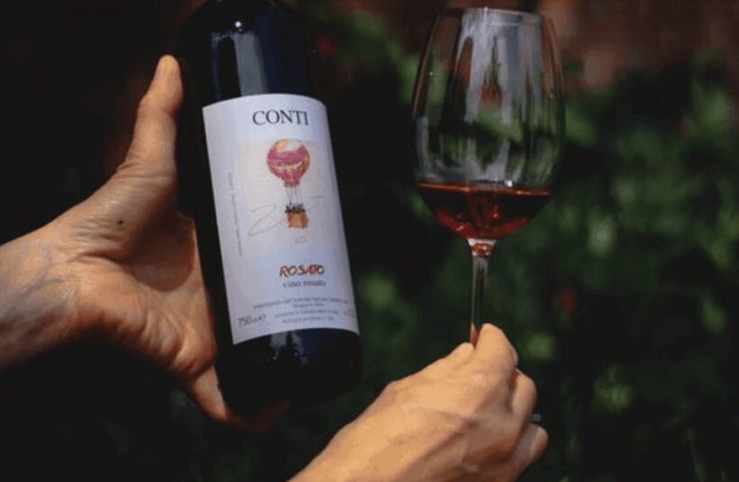 Castle Winery Tour & Tasting near Lake Maggiore - The Underground Cellar & Scenic Views