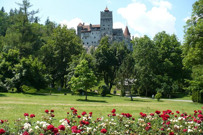 Castles Day Tour Peles - Bran - Rasnov From Brasov - Booking and Pricing Information