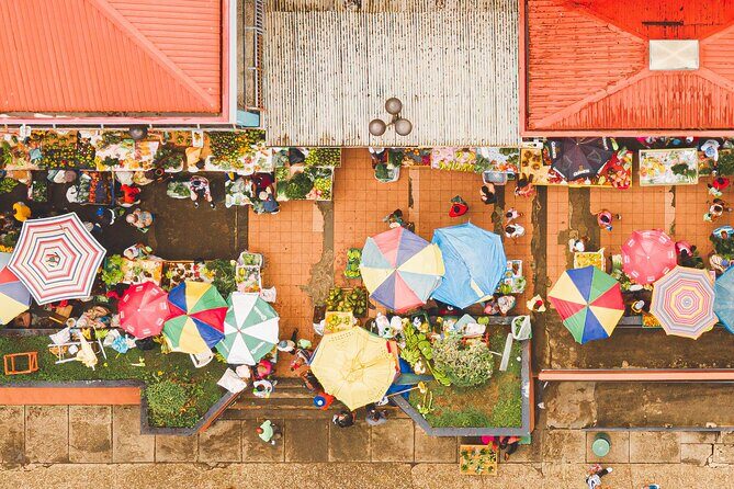 Castries City Walking Tours - Analyzing the Experience: What You Can Expect