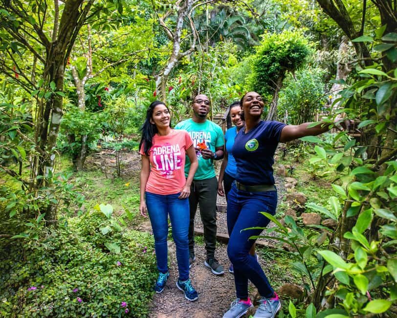 Castries St Lucia: Guided Rainforest Hike  Jacquot Trail - The Hike Begins: A Walk Through Mature Forest