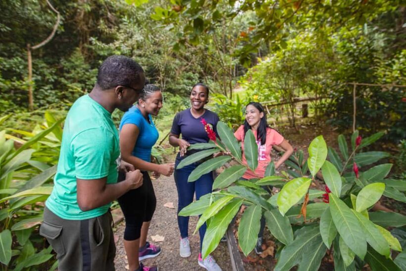 Castries St Lucia: Guided Rainforest Hike  Jacquot Trail - The Overall Experience: Natural Beauty, Education, and Adventure