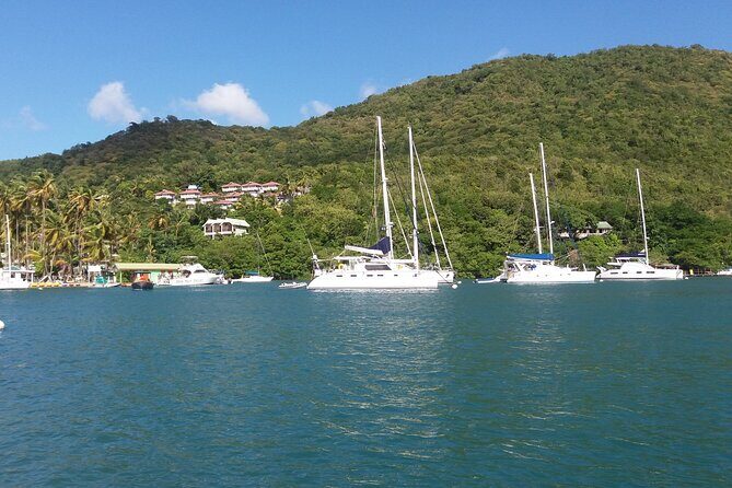 Castries to Marigot Bay 3 hour Land and Sea Tour - Who Will Love This Tour